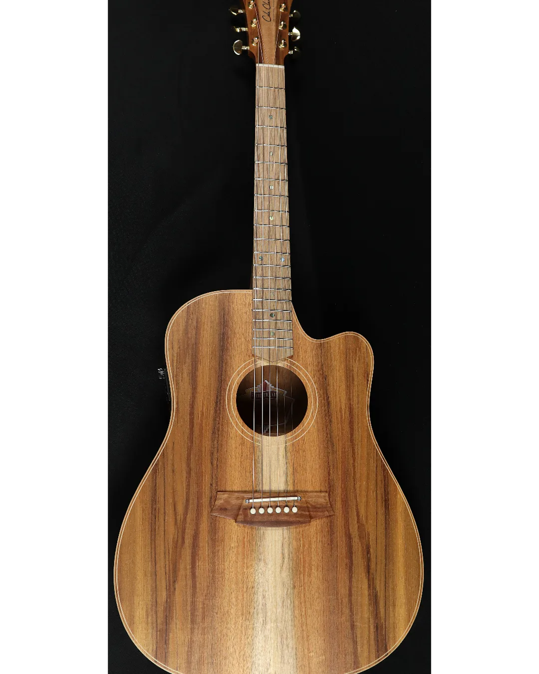 Cole Clark FL2EC-BLBL Blackwood Acoustic Electric Guitar w/ OHSC | Resyn