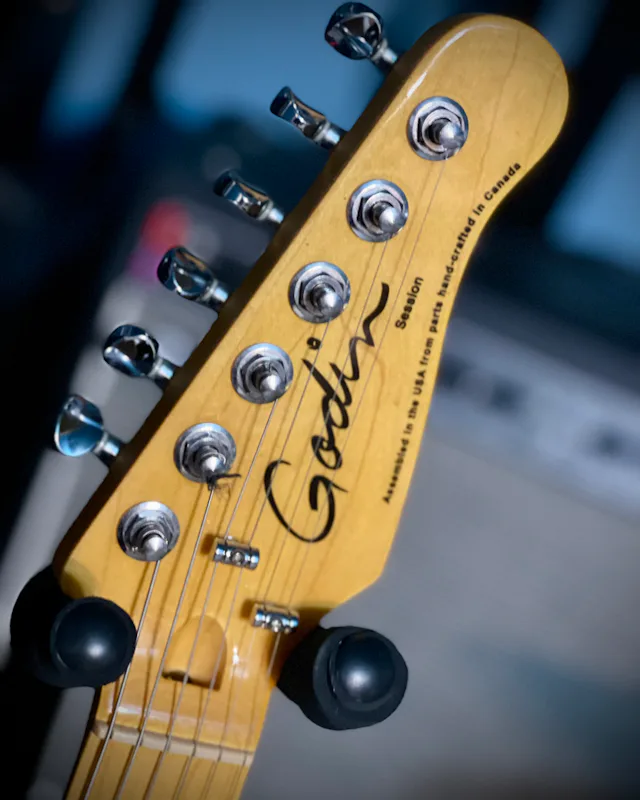2018 GODIN SESSIONS HSS Strat Style Guitar w/RR HS Case | Resyn