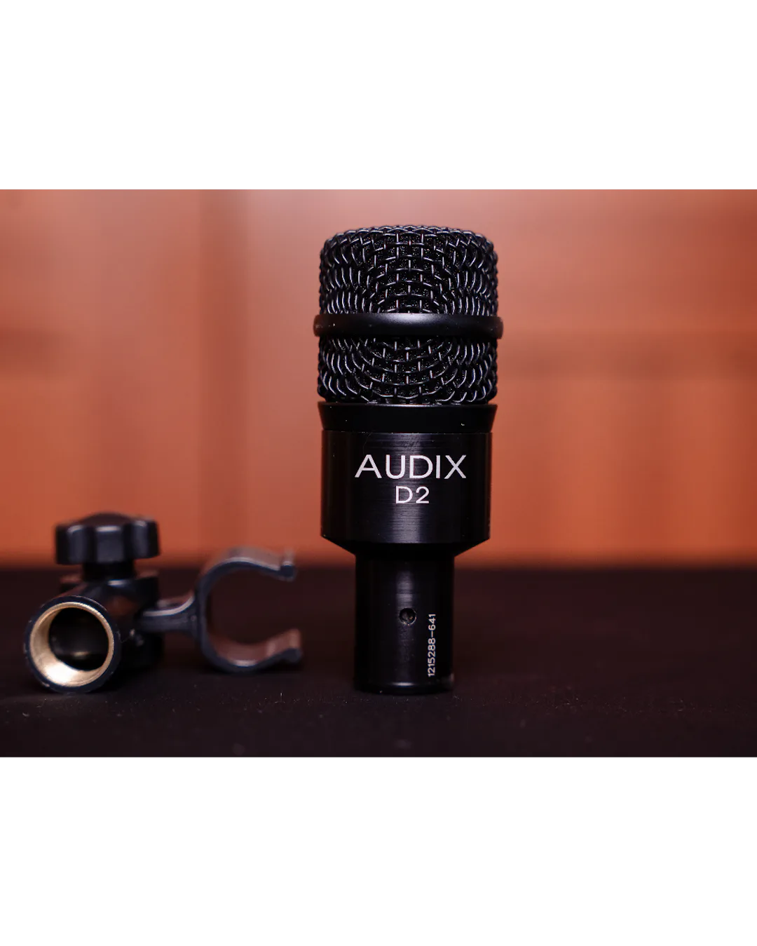 Audix D2 Hypercardioid Dynamic Drum / Instrument Microphone | Resyn
