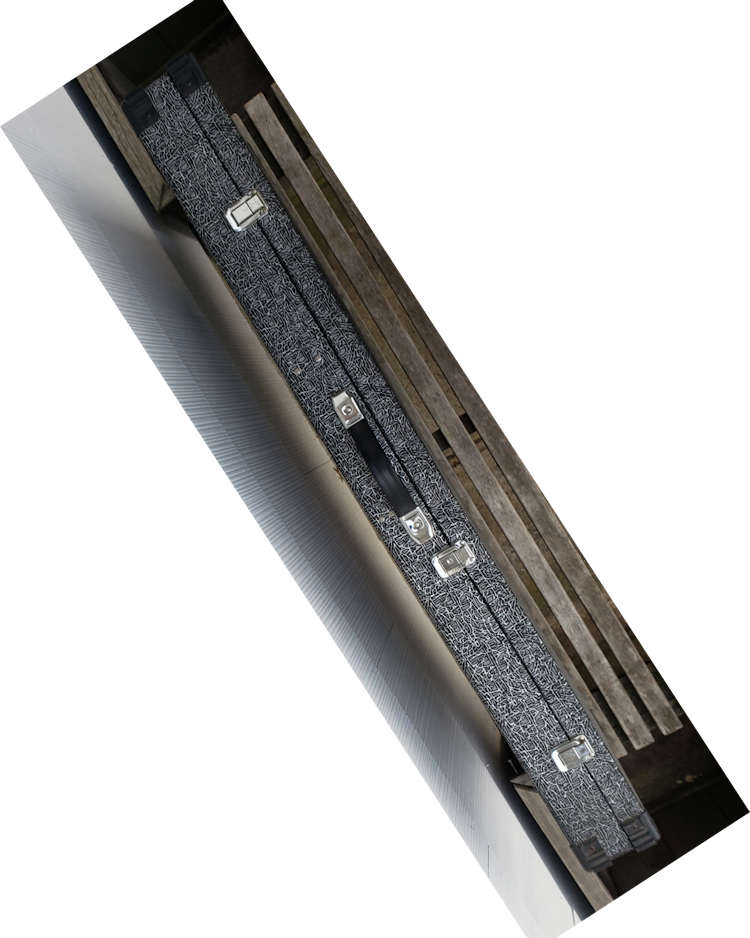 TeleStar Mona w/ Amp-in-Case - Silver Sparkle | Resyn